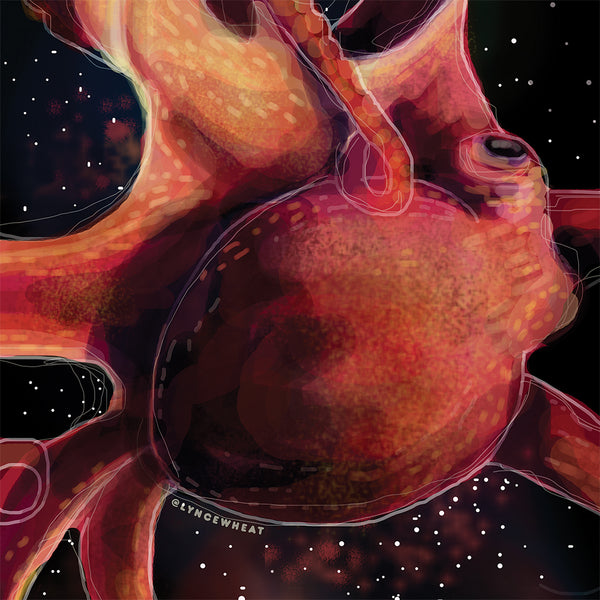 Octopus Odyssey by Lyn Sweet Yoga Mat – Big Raven Yoga