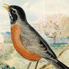 The Charming Robin Yoga Mat – Big Raven Yoga
