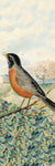 The Charming Robin Yoga Mat – Big Raven Yoga