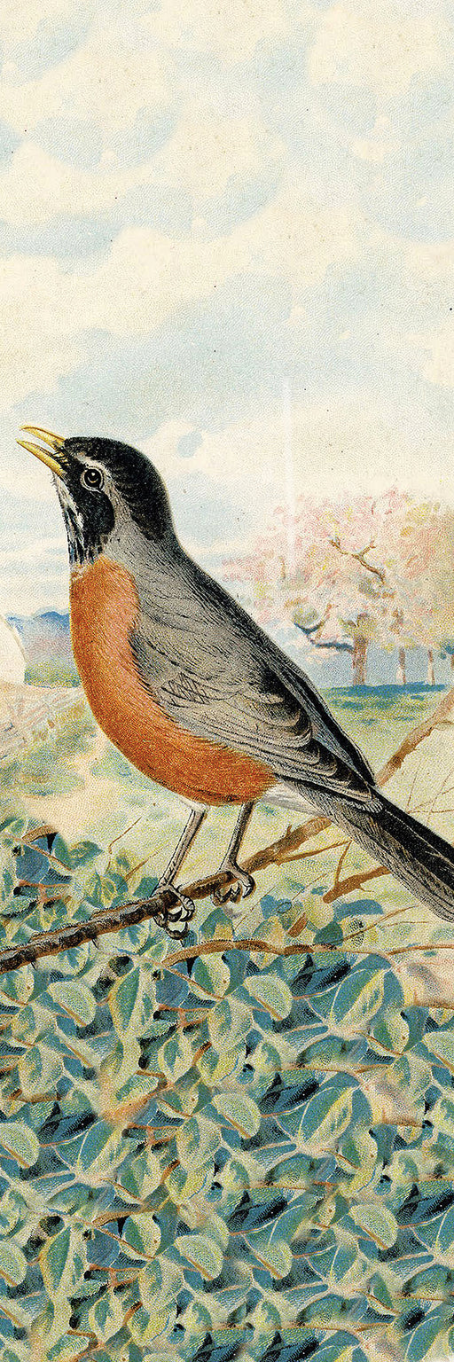 The Charming Robin Yoga Mat – Big Raven Yoga