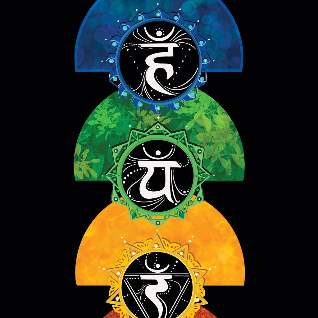 Wildslice Chakras by Nicole Labonte Yoga Mat – Big Raven Yoga